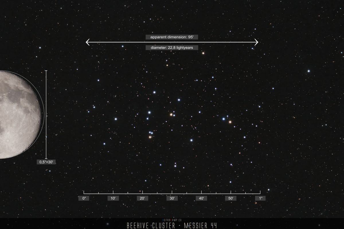 Messier 44 - Beehive Cluster - ASTROCAMP
