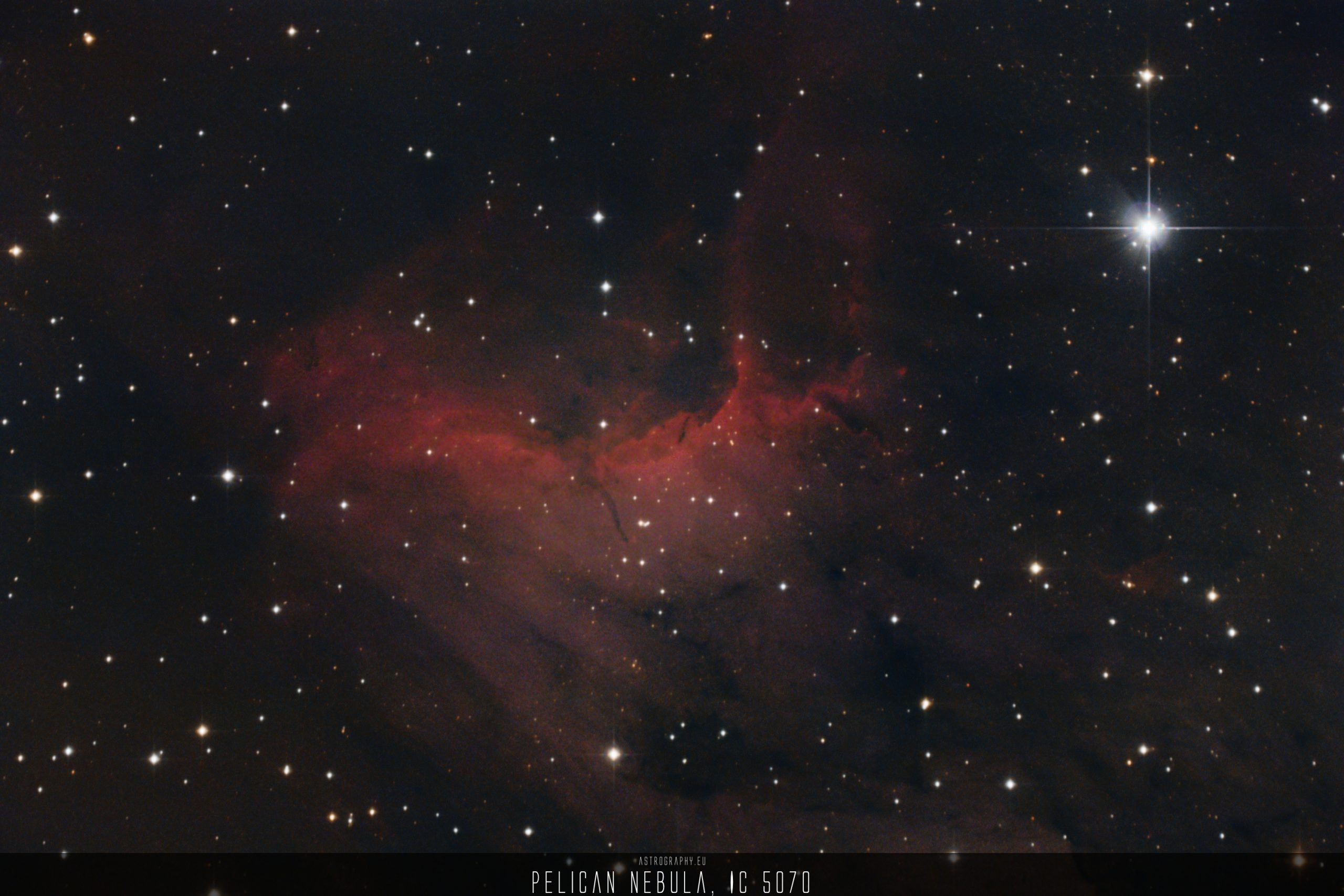 IC 5070 - Pelican Nebula