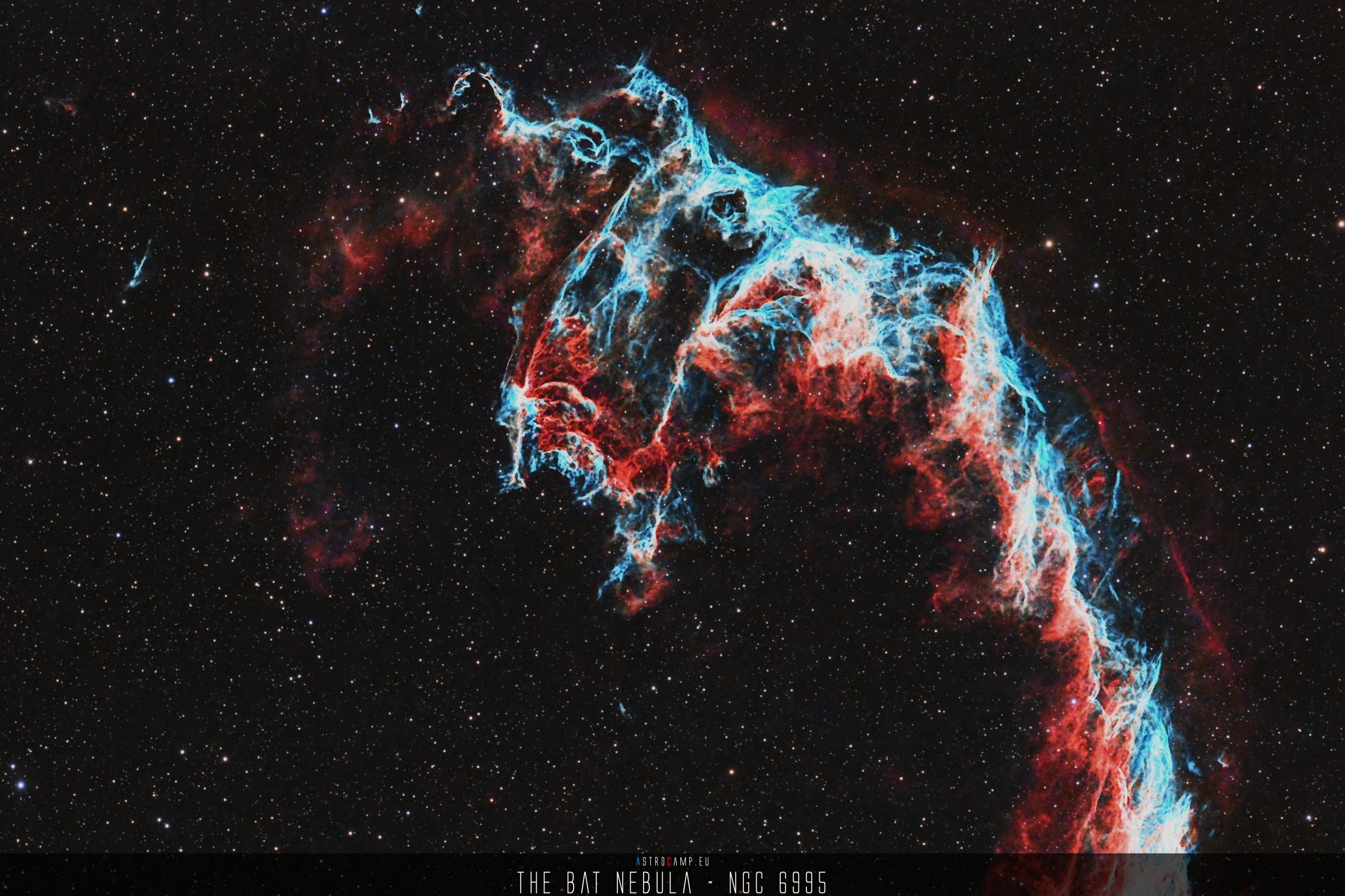 NGC 6995 – Bat Nebula – Astronomy and Astrophotography
