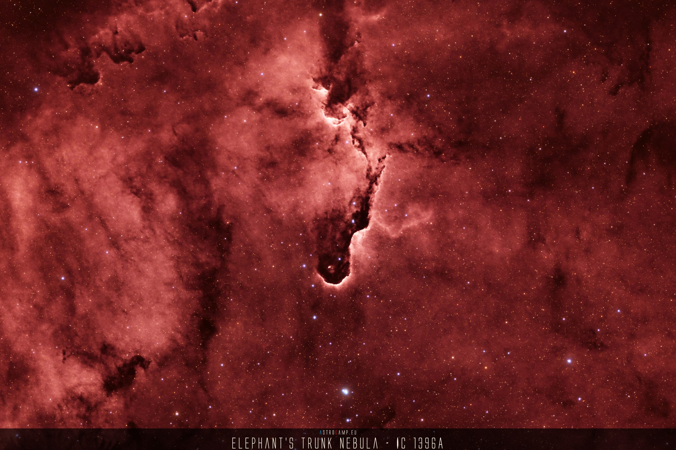 Sharpless 131 - Elephant’s Trunk Nebula