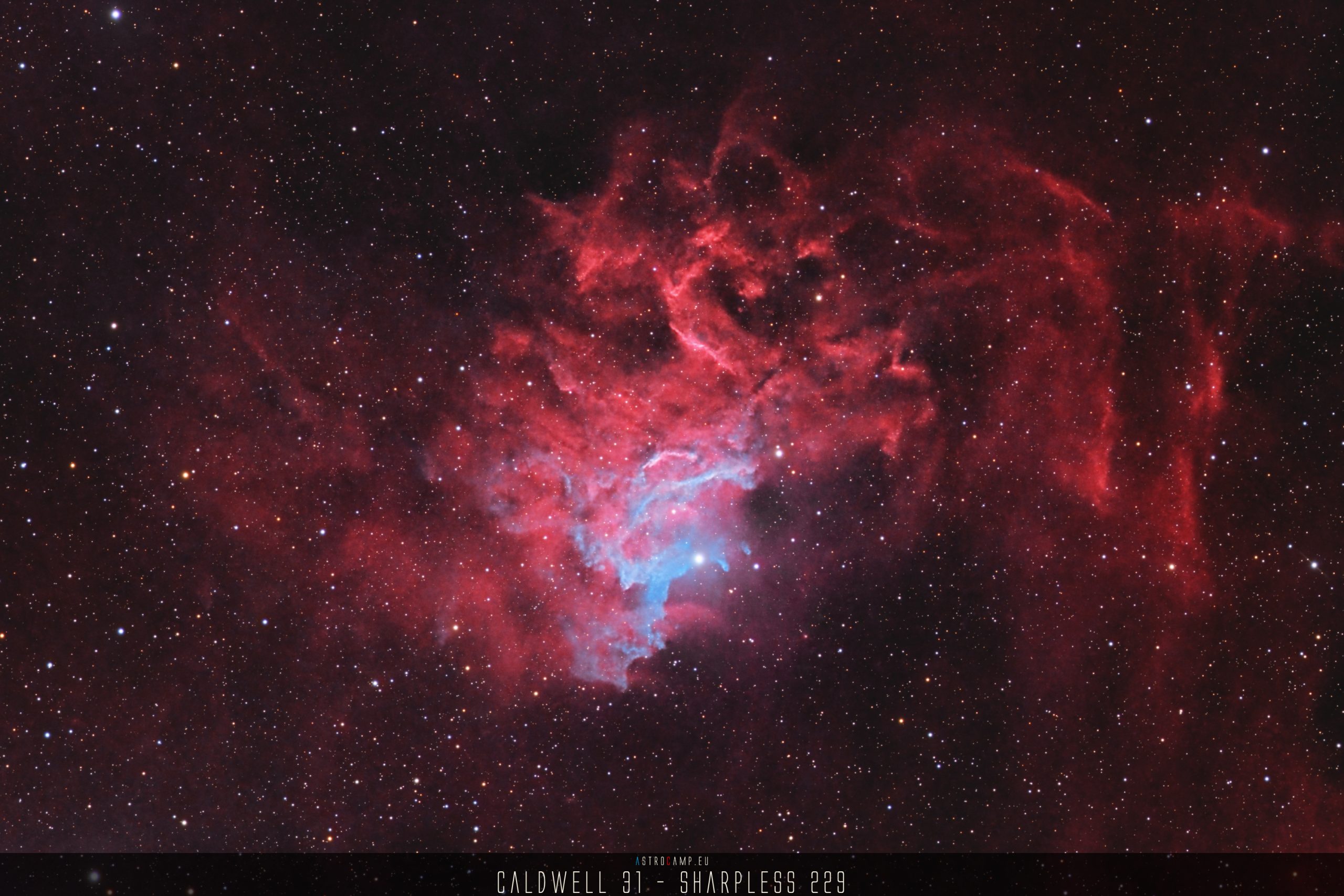 Caldwell 31 - Flaming Star Nebula