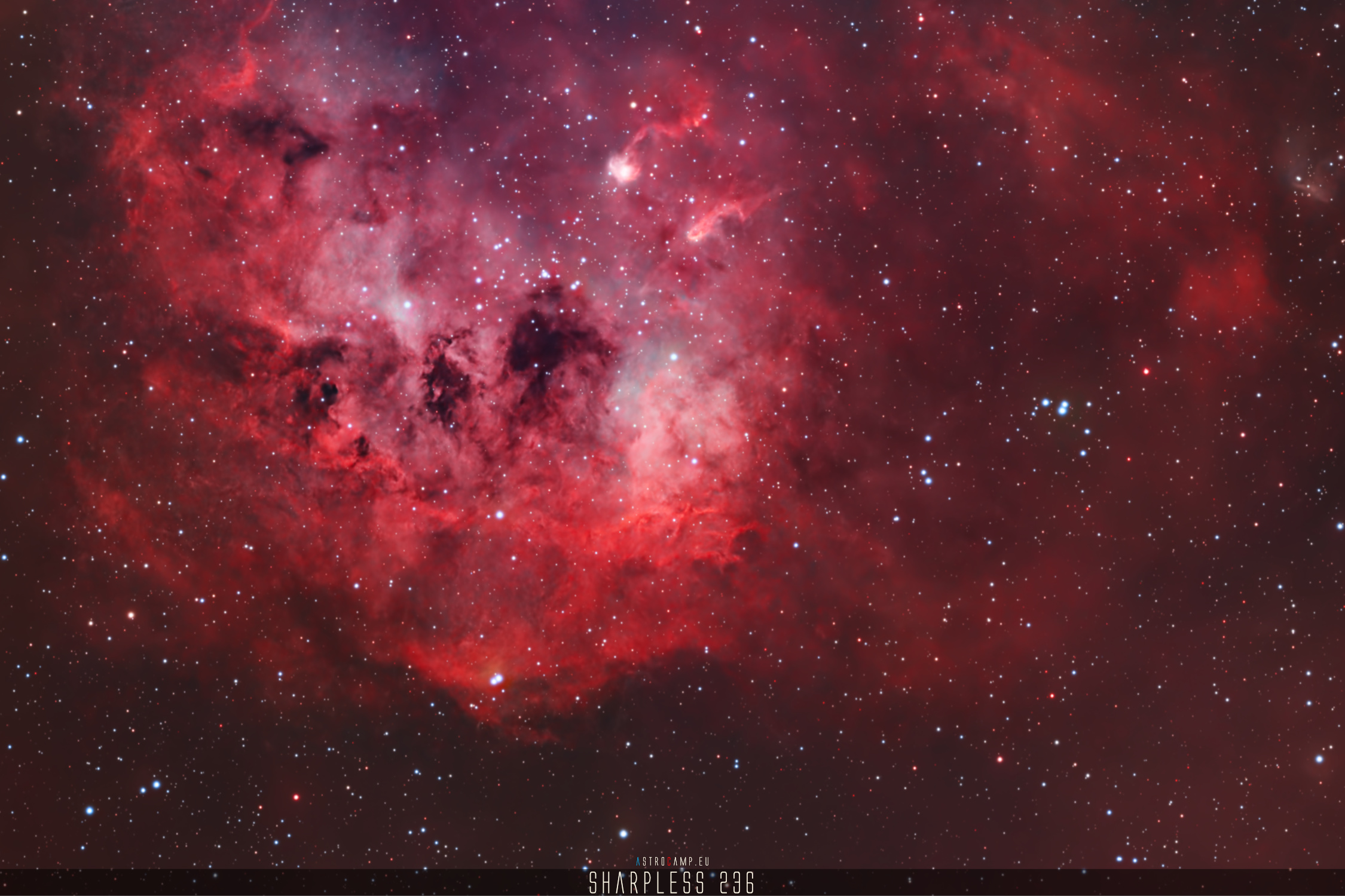 Sharpless 236 - Tadpole Nebula